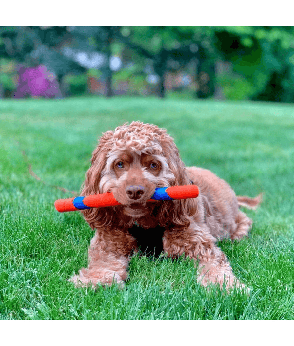 Chuckit! Ultra Fetch Stick Chuckit! Ultra Fetch Stick